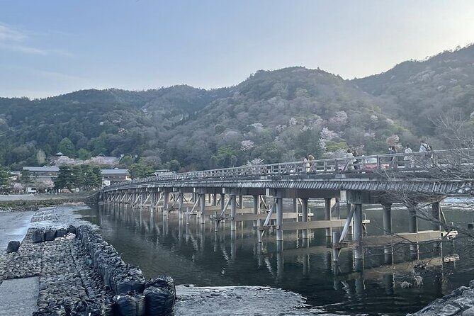 Kyoto 1 Day Charter Car Tour from Osaka or Kyoto - What’s Included and What’s Not