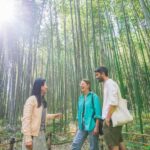 Kyoto: 5-Hour Arashiyama Walking Tour - Why This Tour Stands Out