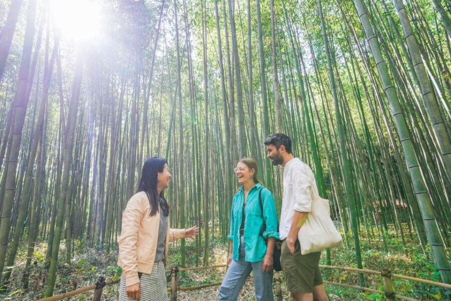Kyoto: 5-Hour Arashiyama Walking Tour - Why This Tour Stands Out