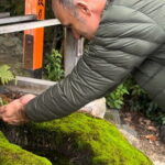 Kyoto: A Walking Tour of Four Spring Waters, Tofu Lunch & Matcha - The Experience Beyond the Sites