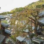 Kyoto and Uji for Classic Shrine and Matcha Private car Day Tour - The Itinerary in Detail