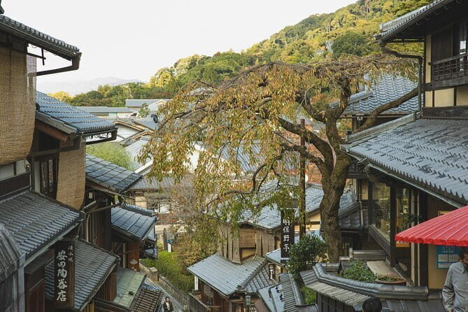 Kyoto and Uji for Classic Shrine and Matcha Private car Day Tour - The Itinerary in Detail