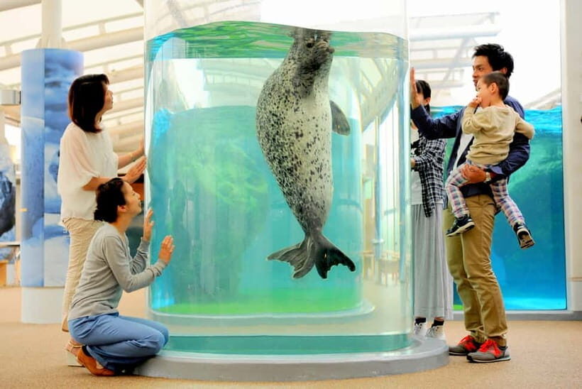 Kyoto Aquarium Admission Ticket - What you can expect: Key features and highlights