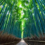 Kyoto Arashiyama Bamboo forest & Garden Half-Day Walking Tour - Who Should Consider This Tour?