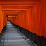 Kyoto: Arashiyama, Kinkakuji, Gion, and Fushimi Inari Tour - What Makes This Tour Stand Out