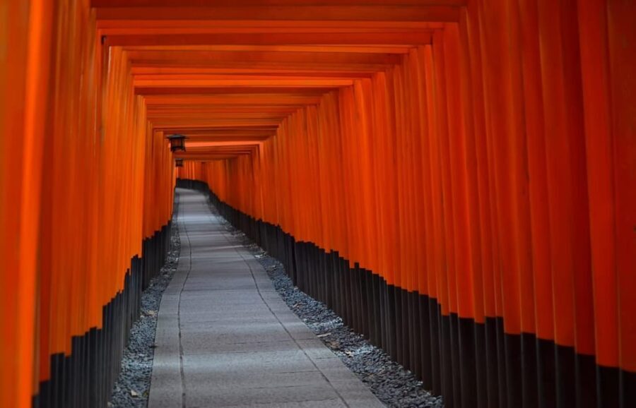 Kyoto: Arashiyama, Kinkakuji, Gion, and Fushimi Inari Tour - What Makes This Tour Stand Out