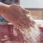 Kyoto Arashiyama soba noodle making experience - Private plan - An In-Depth Look at the Soba Noodle Making Experience