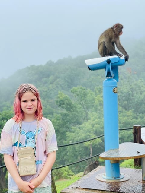 Kyoto Arashiyama Walking Tour: Bamboo Grove, Monkey&Secrets. - A Dive into the Itinerary