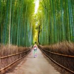 Kyoto Arashiyama Walking Tour - Bamboo, Monkeys, Temple & Secrets - Who Should Book This Tour?