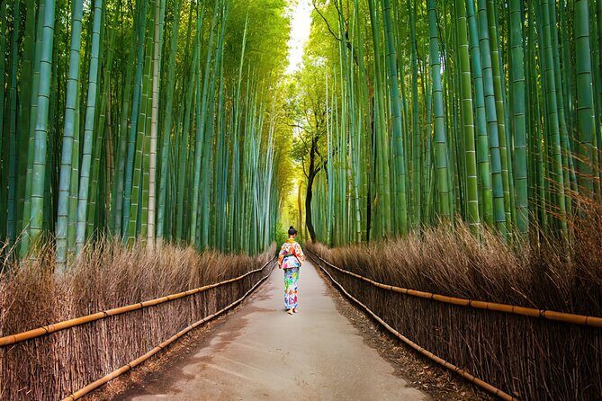 Kyoto Arashiyama Walking Tour - Bamboo, Monkeys, Temple & Secrets - Who Should Book This Tour?