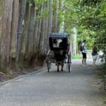 Kyoto: Avoid the Crowds at the Hidden Gems of Arashiyama - Who Should Consider This Tour?