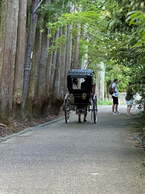 Kyoto: Avoid the Crowds at the Hidden Gems of Arashiyama - Who Should Consider This Tour?