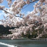 Kyoto Bus Tour: Arashiyama, Kinkaku-ji, Fushimiinari Shrine BF - Breaking Down the Itinerary