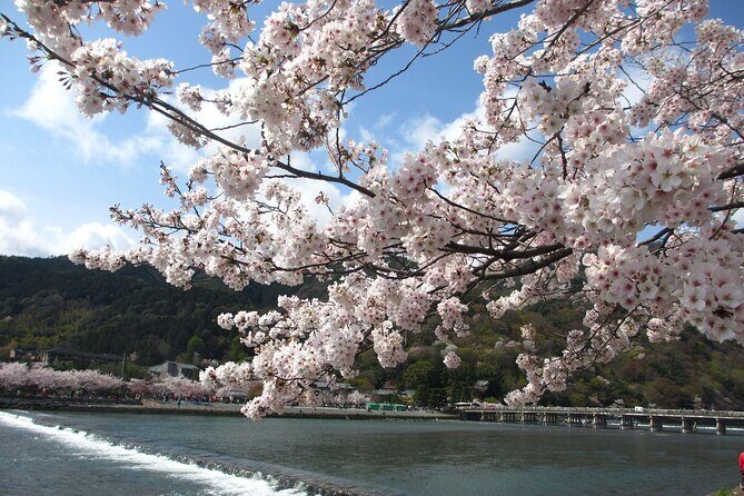 Kyoto Bus Tour: Arashiyama, Kinkaku-ji, Fushimiinari Shrine BF - Breaking Down the Itinerary