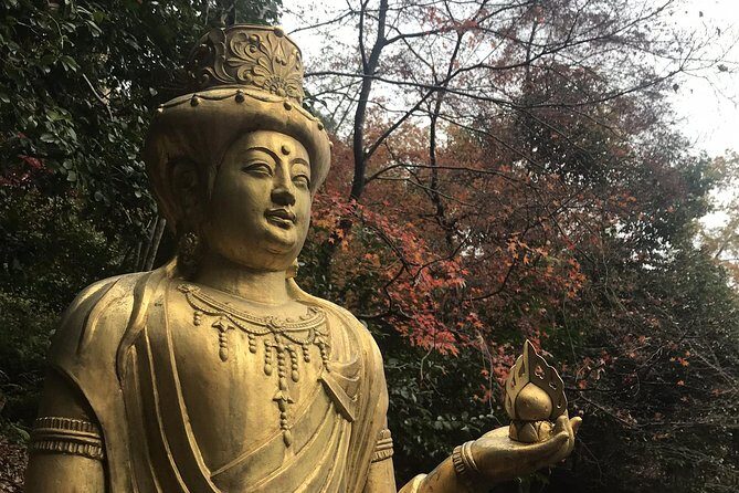 Kyoto: Descending Arashiyama (Private) - A Closer Look at the Itinerary