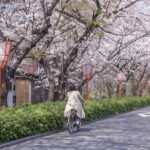 Kyoto E-Bike Tour of Hidden Gems, Backstreets and Temples - What the Tour Includes and What It Doesn’t