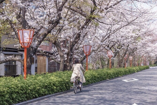Kyoto E-Bike Tour of Hidden Gems, Backstreets and Temples - What the Tour Includes and What It Doesn’t