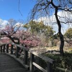 Kyoto Early Bird Half Day Private Tour with Transfer - The Practicalities: What the Tour Includes and What It Doesn’t