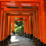 Kyoto: Essential Tour with Fushimi Inari & Bamboo Grove - The Value of This Tour