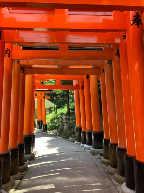 Kyoto: Essential Tour with Fushimi Inari & Bamboo Grove - The Value of This Tour