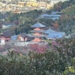 Kyoto from Above: Hike Mt. Amida with Kiyomizu Views - An In-Depth Look into the Kyoto from Above Tour