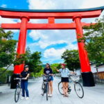 Kyoto: Fushimi Inari Shrine and Tofukuji Temple E-Bike Tour - Final Thoughts