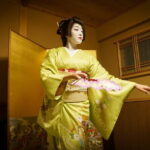 Kyoto: Geisha Dinner & Gion Cultural Walk - Who Will Love This Tour?