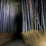 Kyoto: Ghost Tour - Legends, Dark Tales, Bamboo Forest Night - The Value of the Experience