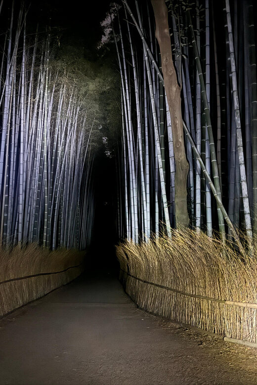 Kyoto: Ghost Tour - Legends, Dark Tales, Bamboo Forest Night - The Value of the Experience