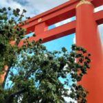 Kyoto: Heian Jingu Tour - Roots of Kyoto & Scenic Gardens - Who Should Consider This Tour