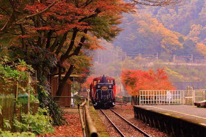 Kyoto: Hidden Gems Tour with Scenic Train Ride and Temples - An In-Depth Look at the Kyoto Hidden Gems Tour