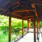 Kyoto: Higashi Hongan-ji Temple & Shsei-en Garden Walk Tour - Shsei-en Garden: Kyoto’s Hidden Natural Sanctuary