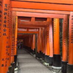 Kyoto Highlight Private Tour with English Speaking Driver - Covering Convenience and Cost