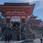 Kyoto Highlights Full Day Private Guided Tour from Tokyo - The Practicalities of the Tour: What to Expect