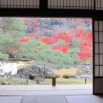 Kyoto : Immersive Arashiyama and Fushimi Inari by Private Vehicle - Authentic Experiences and Real Traveler Insights