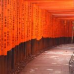 Kyoto: Immersive Arashiyama & Fushimi Inari by Private Car - Why You Should Consider This Tour