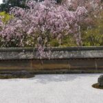Kyoto ITALIAN GUIDE Golden Pagoda Bamboo Forest Dry Garden - Exploring the Itinerary