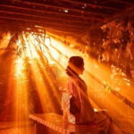 Kyoto: Light Cycles by Moment Factory with Yukata Rental - The Light Cycles Display: What Makes It Special