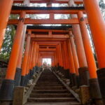 Kyoto & Nara: Day Trip Highlights Tour with a Private Car - Practical Details and Tips