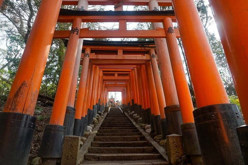 Kyoto & Nara: Day Trip Highlights Tour with a Private Car - Practical Details and Tips