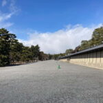 Kyoto: Nijo Castle and Kyoto Imperial Palace Guided Tour - Who Will Love This Tour?