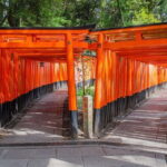 Kyoto One Day Sightseeing Tour from Osaka or Kyoto - FAQs