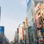 Kyoto/Osaka: Kobe & Himeji Journey Through Culture & History - What You Can Expect from This Tour