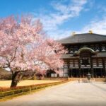 Kyoto/Osaka: Nara Customizable Self-Guided Tour with Driver - A Step-by-Step Look at the Itinerary