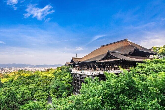 Kyoto, Osaka, Nara Full Day tour by Car English speaking Driver - Deep Dive into the Itinerary
