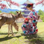 Kyoto/Osaka: Nara, Fushimi Inari Taisha, Arashiyama Bus Tour - How Does It All Add Up?