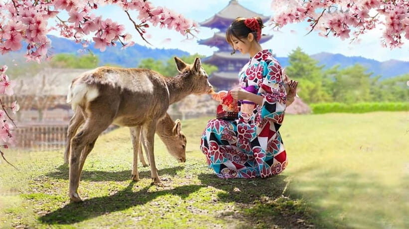 Kyoto/Osaka: Nara, Fushimi Inari Taisha, Arashiyama Bus Tour - How Does It All Add Up?