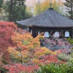 Kyoto Private Customizable Sightseeing Tour by Car-up to 9 people - Transportation & Timing: What You Need to Know