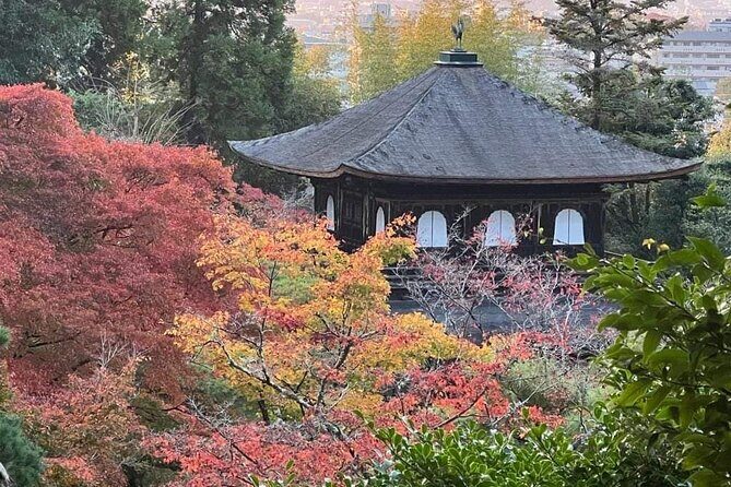 Kyoto Private Customizable Sightseeing Tour by Car-up to 9 people - Transportation & Timing: What You Need to Know