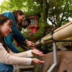 Kyoto: Private Customized Walking Tour with a Local Insider - What You Can Expect During the Tour